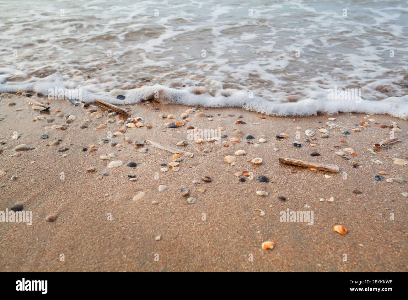 Shells waves hi-res stock photography and images - Alamy