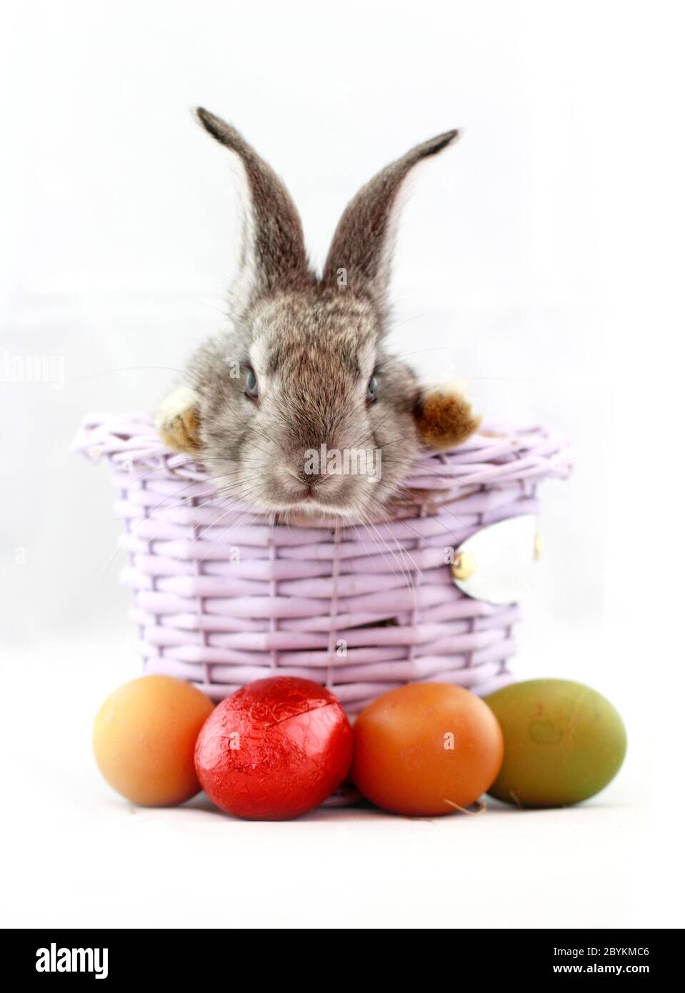 Rabbit in basket hi-res stock photography and images - Alamy