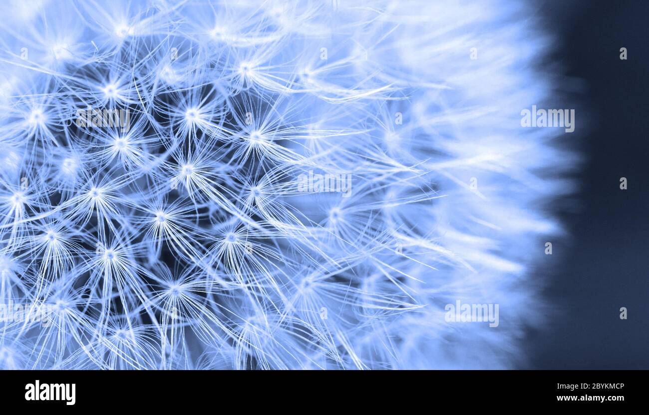 Seeds growth abstract hi-res stock photography and images - Alamy
