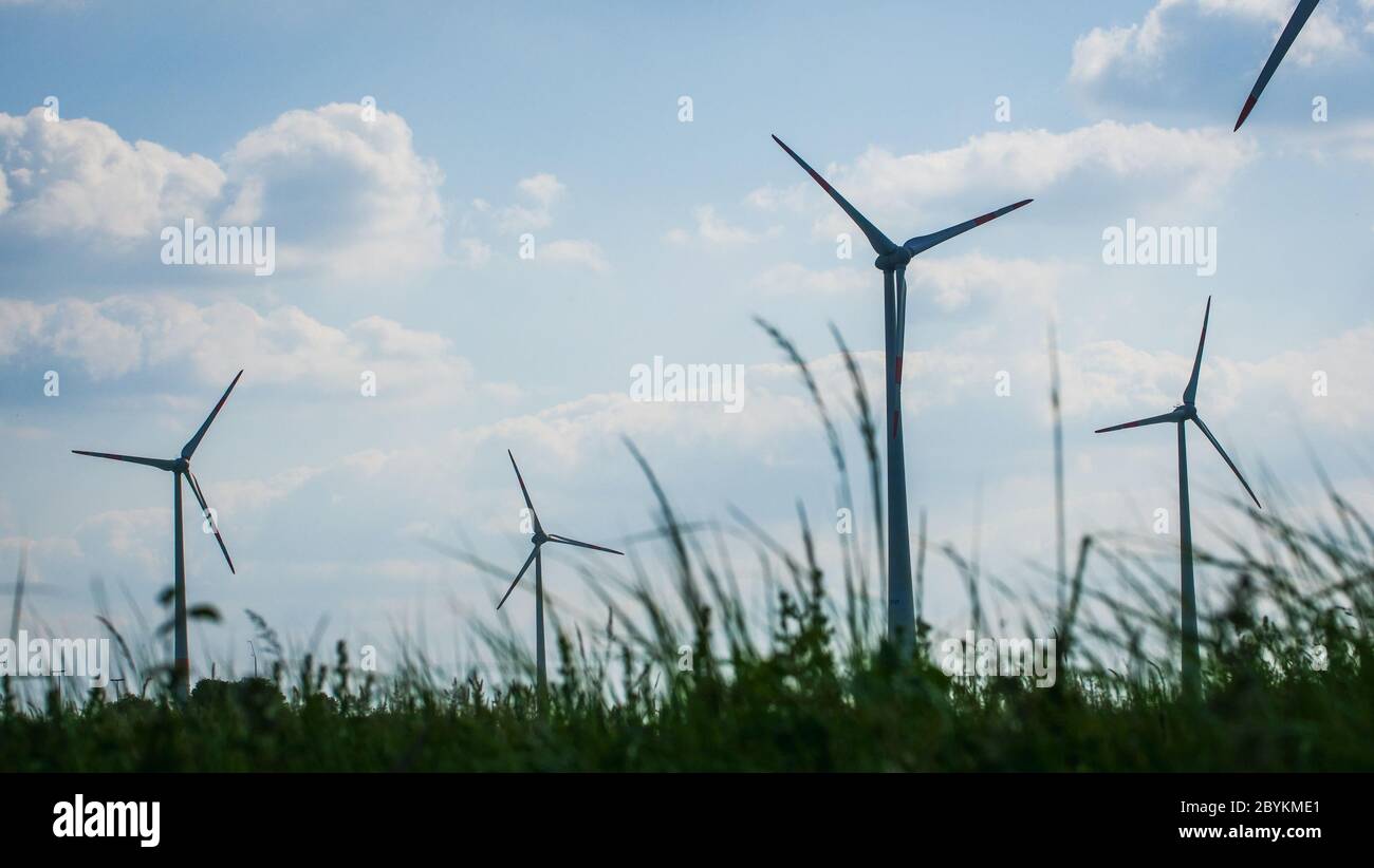 Grass ecology hi-res stock photography and images - Alamy