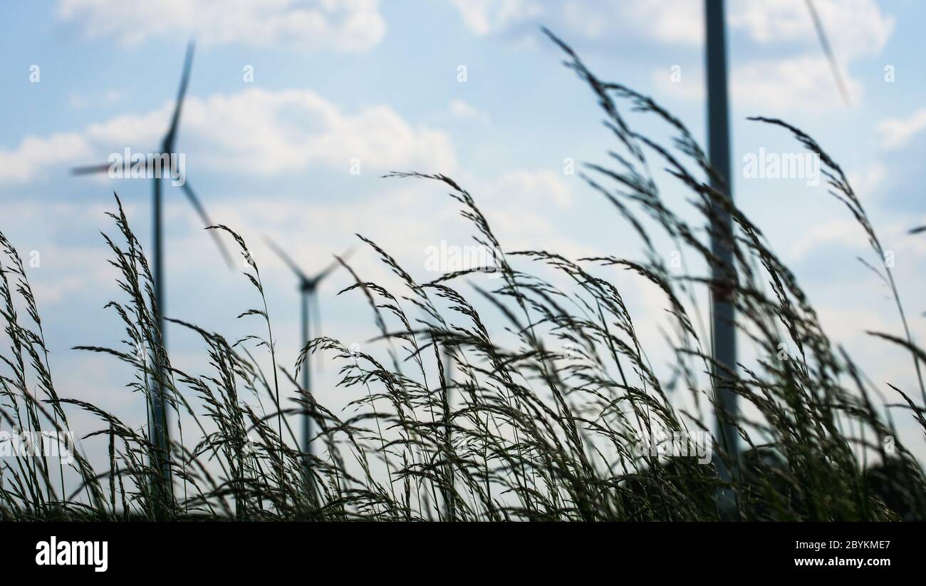 Wind turbine in grassland hi-res stock photography and images - Alamy
