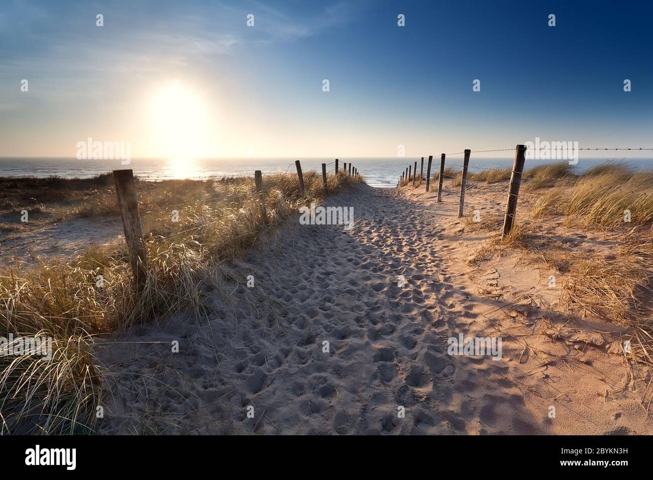 sand path to North sea beach Stock Photo - Alamy