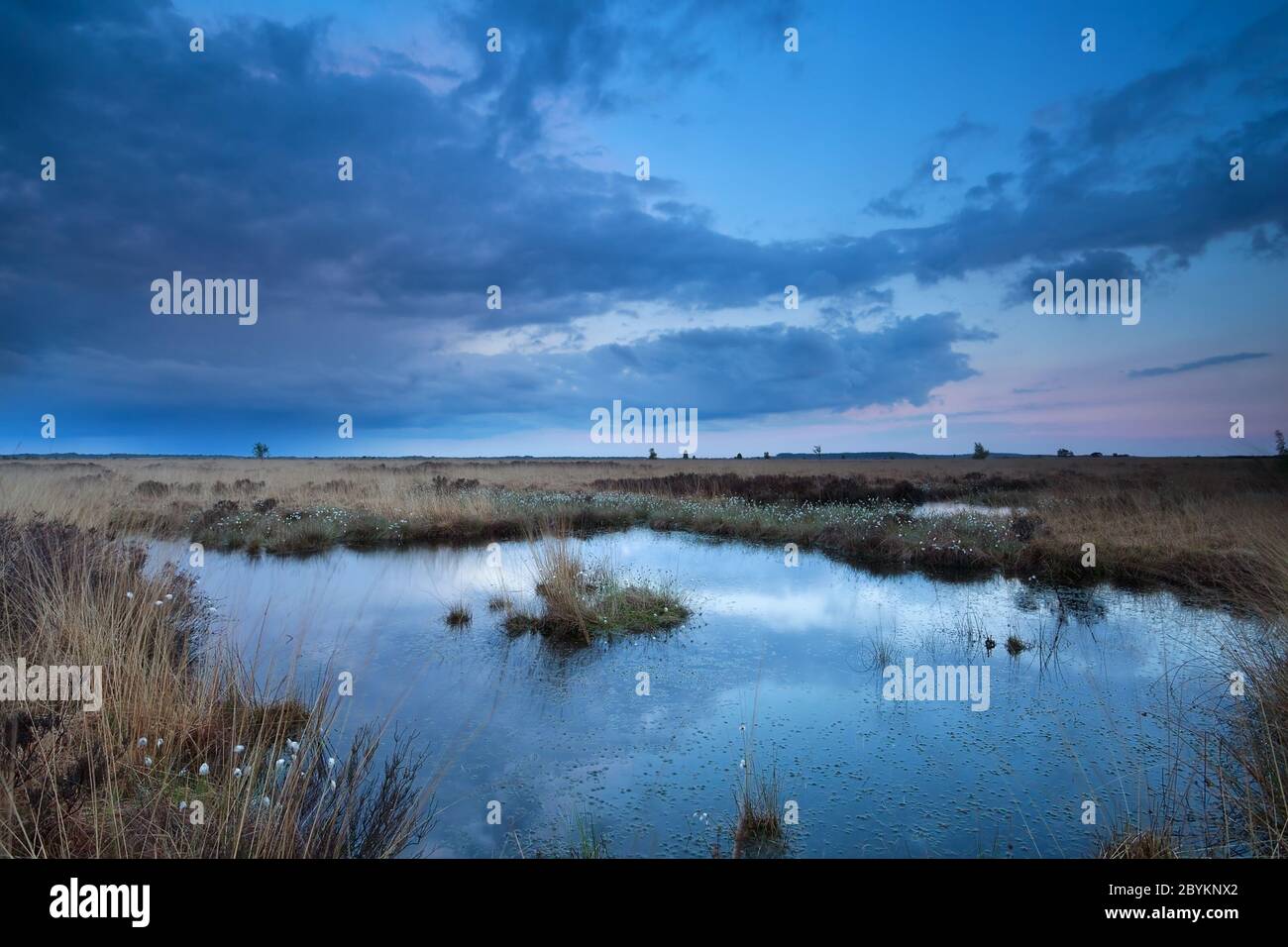 Sunset swamp hi-res stock photography and images - Alamy