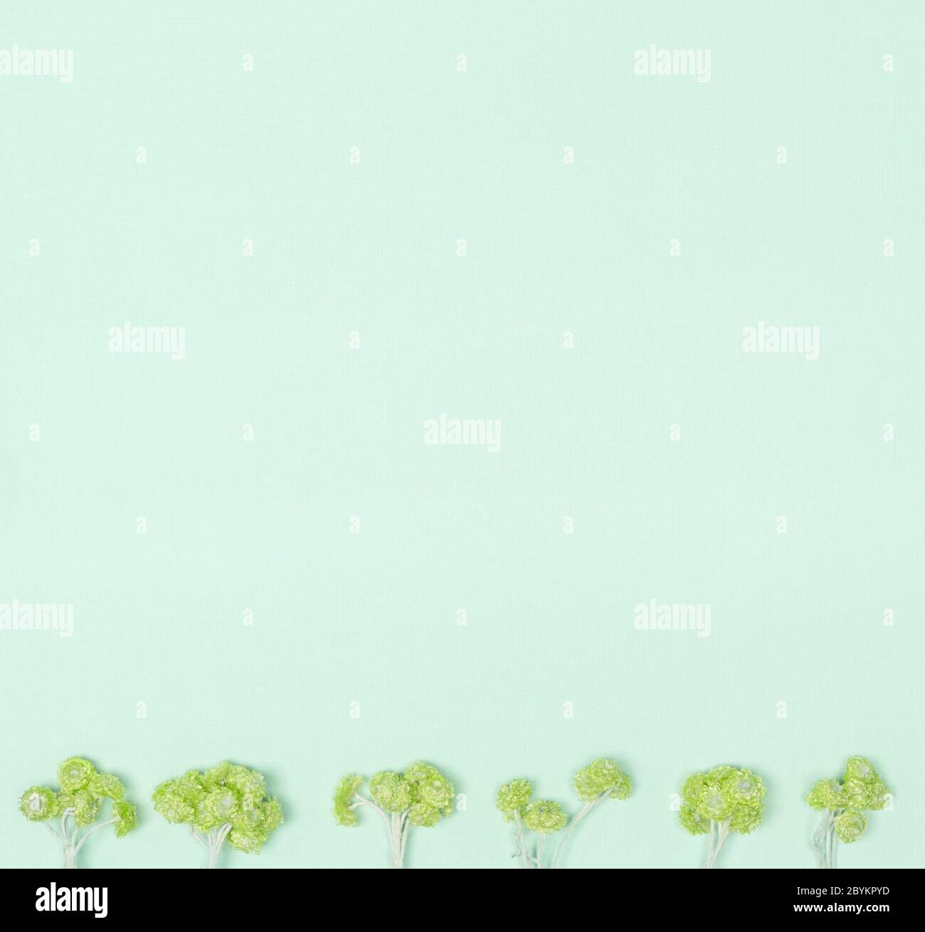 Mint Vintage Background