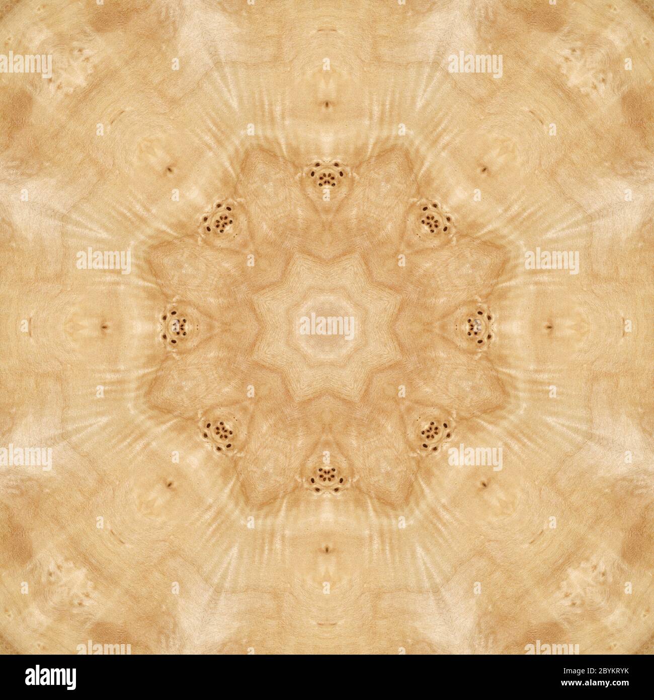 Root wood veneer hi-res stock photography and images - Alamy