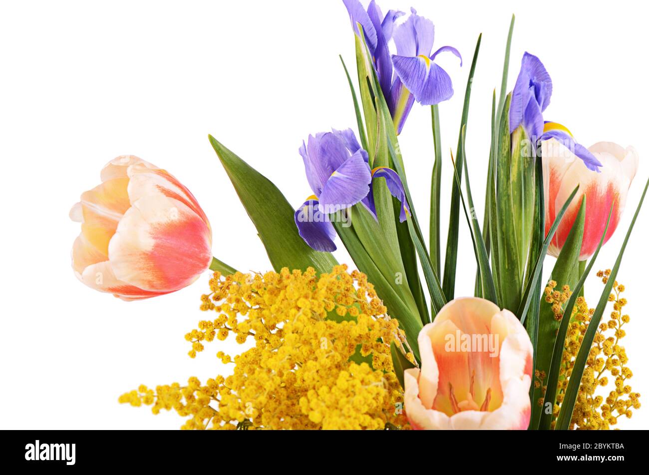 Spring flowers isolated on white background Stock Photo - Alamy