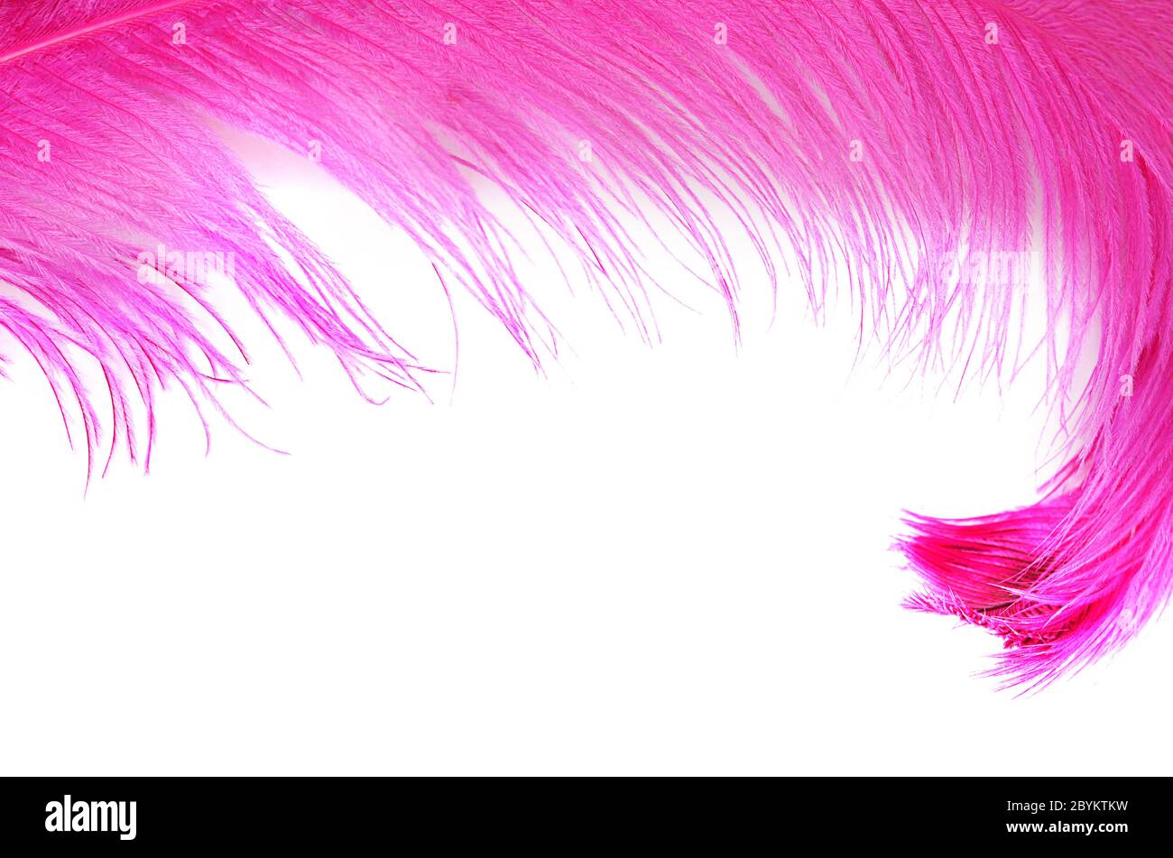 Purple isolated falling feather hi-res stock photography and images - Alamy