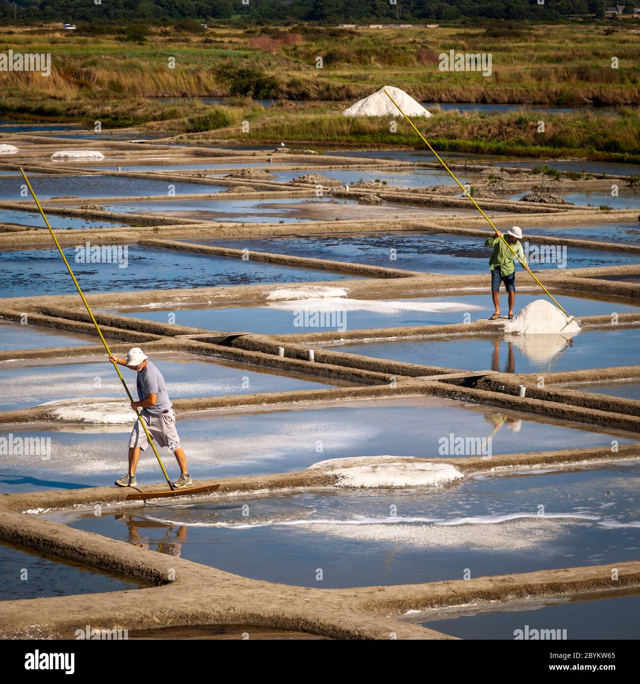 Salt production in france hi-res stock photography and images - Alamy