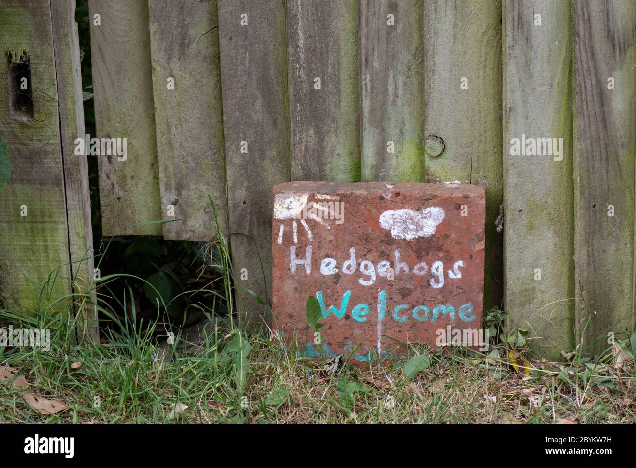 Hedgehog welcome sign, Surrey, UK Stock Photo - Alamy