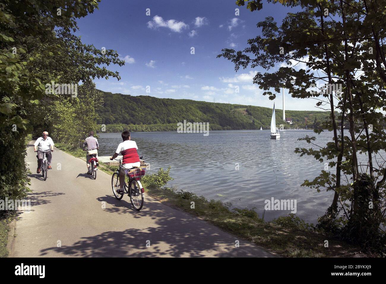 Cyclists on the Ruhr Valley Cycle Route, Germany Stock Photo - Alamy