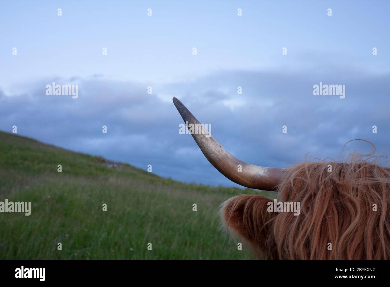 Heilan hi-res stock photography and images - Alamy