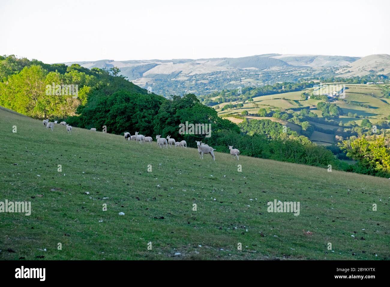 Hillfarming hi-res stock photography and images - Alamy
