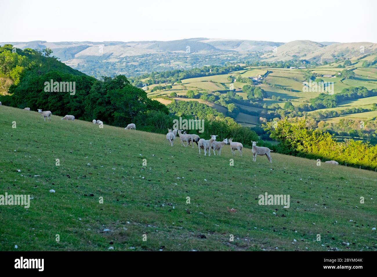 Welsh britain british hi-res stock photography and images - Alamy
