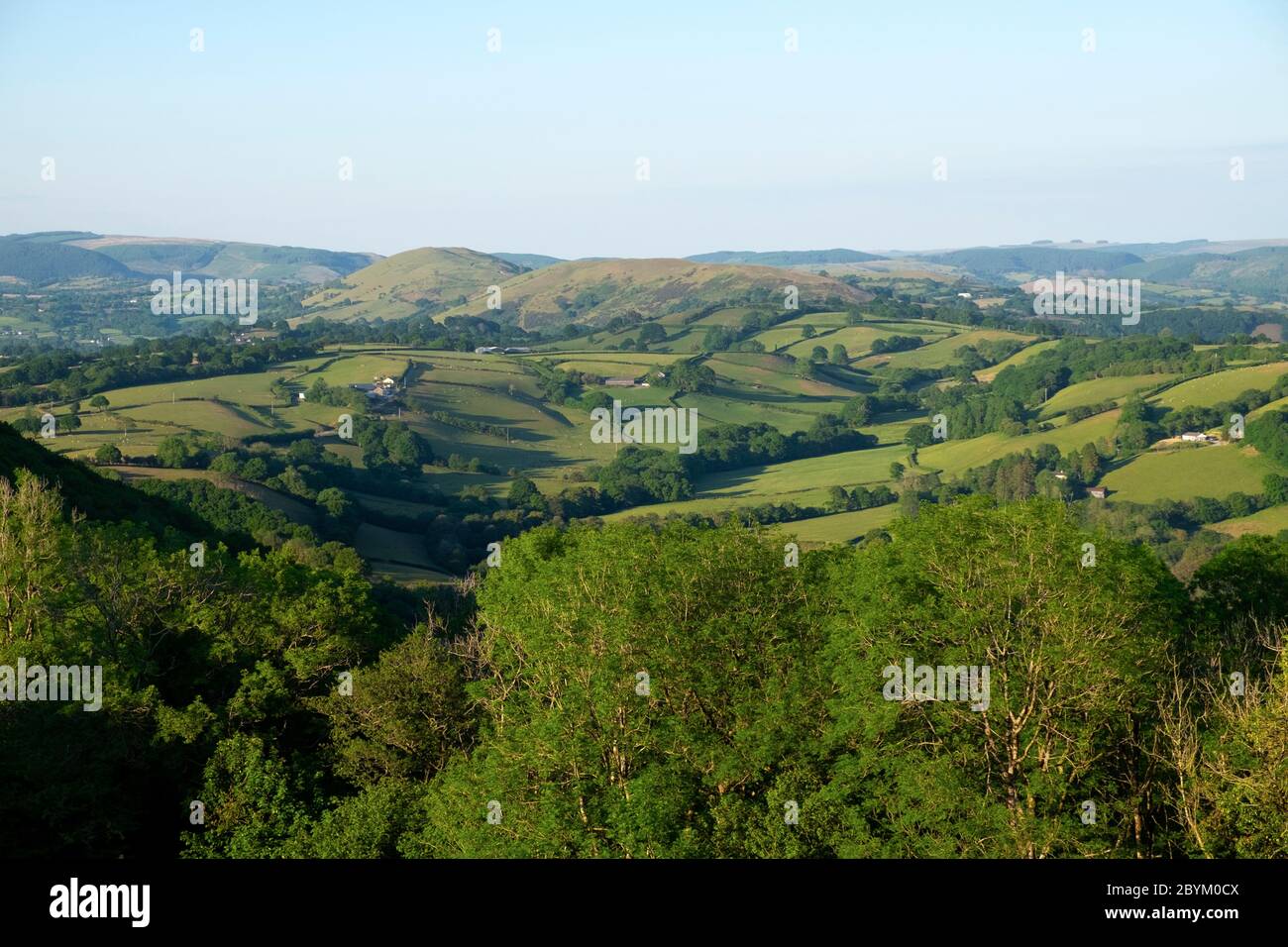 Spring june britain uk hi-res stock photography and images - Alamy