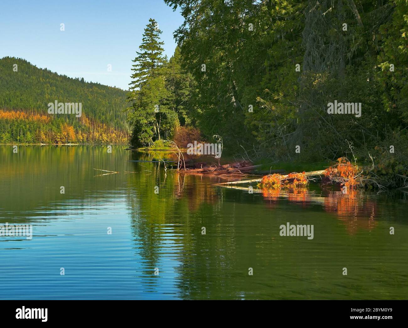 Glassy rivers hi-res stock photography and images - Alamy