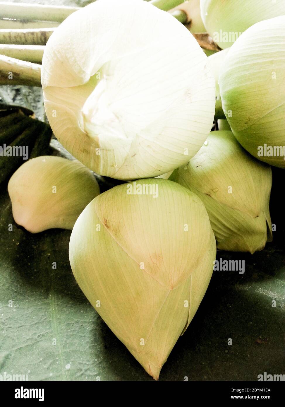 Merit symbol hi-res stock photography and images - Alamy