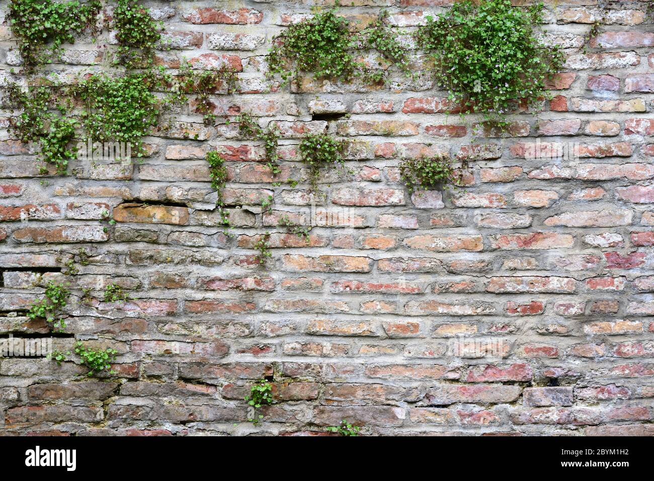 Burnt bricks hi-res stock photography and images - Alamy