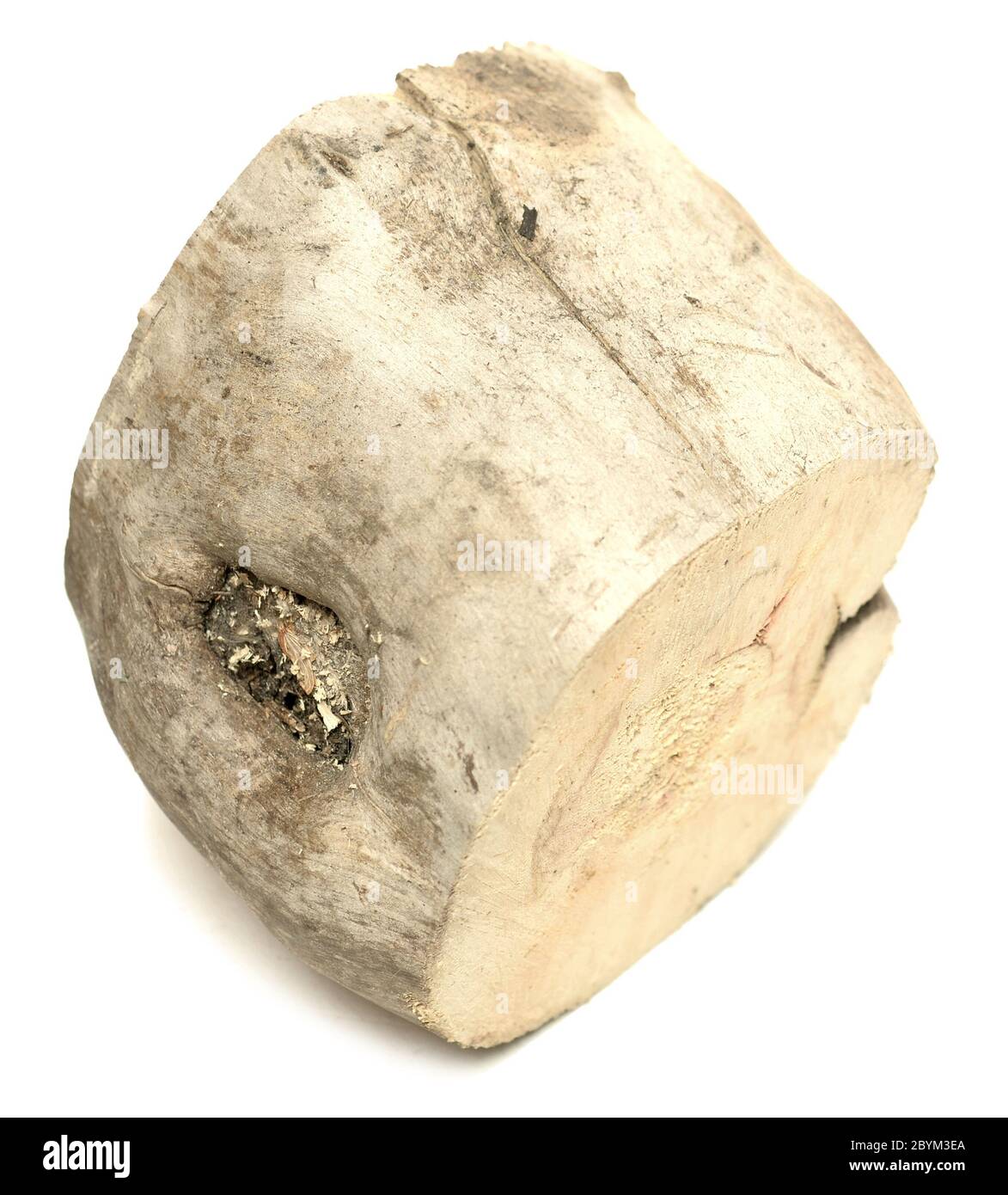 Wooden log Cut Out Stock Images & Pictures - Alamy