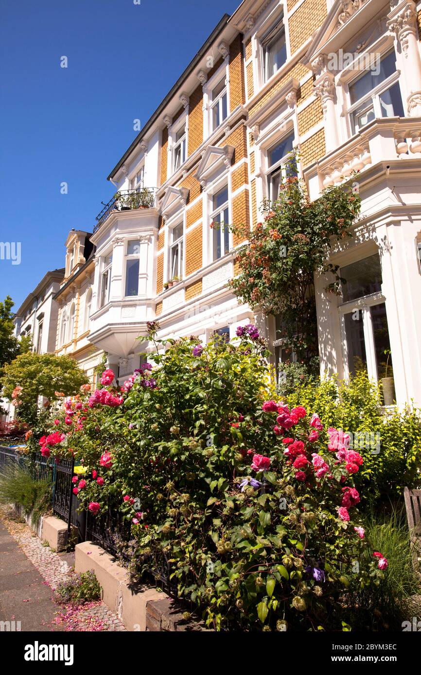 Wilhelminian style houses on Goethe street in the district Suedstadt ...