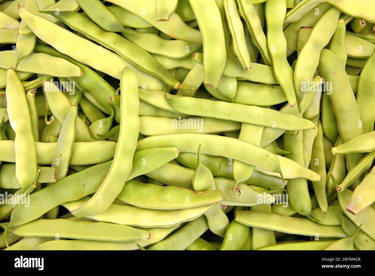 Green pods hi-res stock photography and images - Alamy