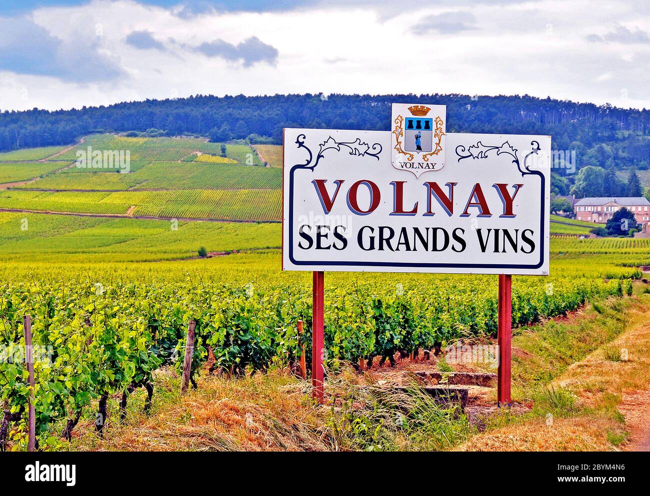 Volnay aoc hi-res stock photography and images - Alamy