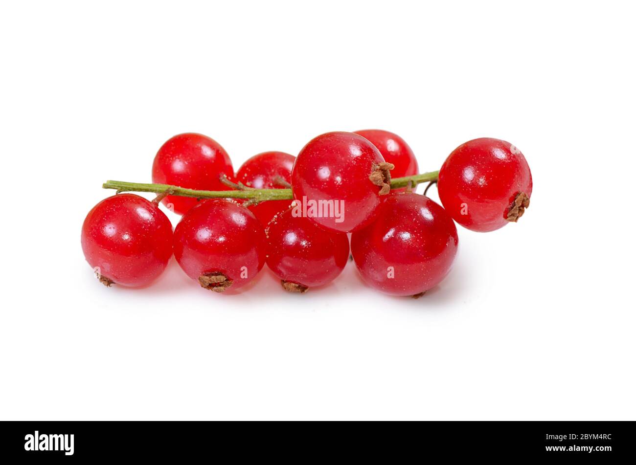 Red white currant sour Cut Out Stock Images & Pictures - Alamy