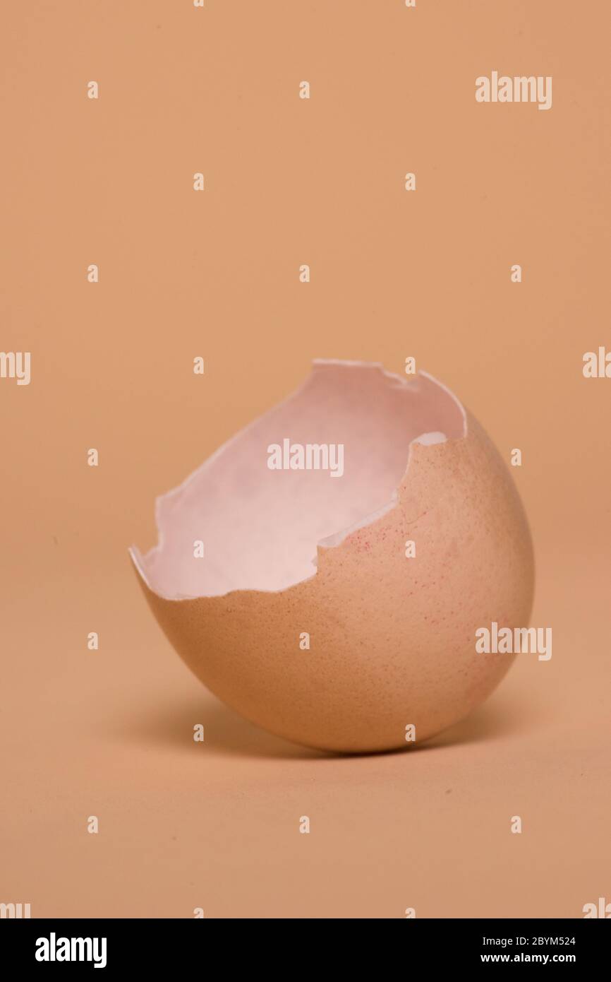 Empty halved broken egg shell Stock Photo - Alamy