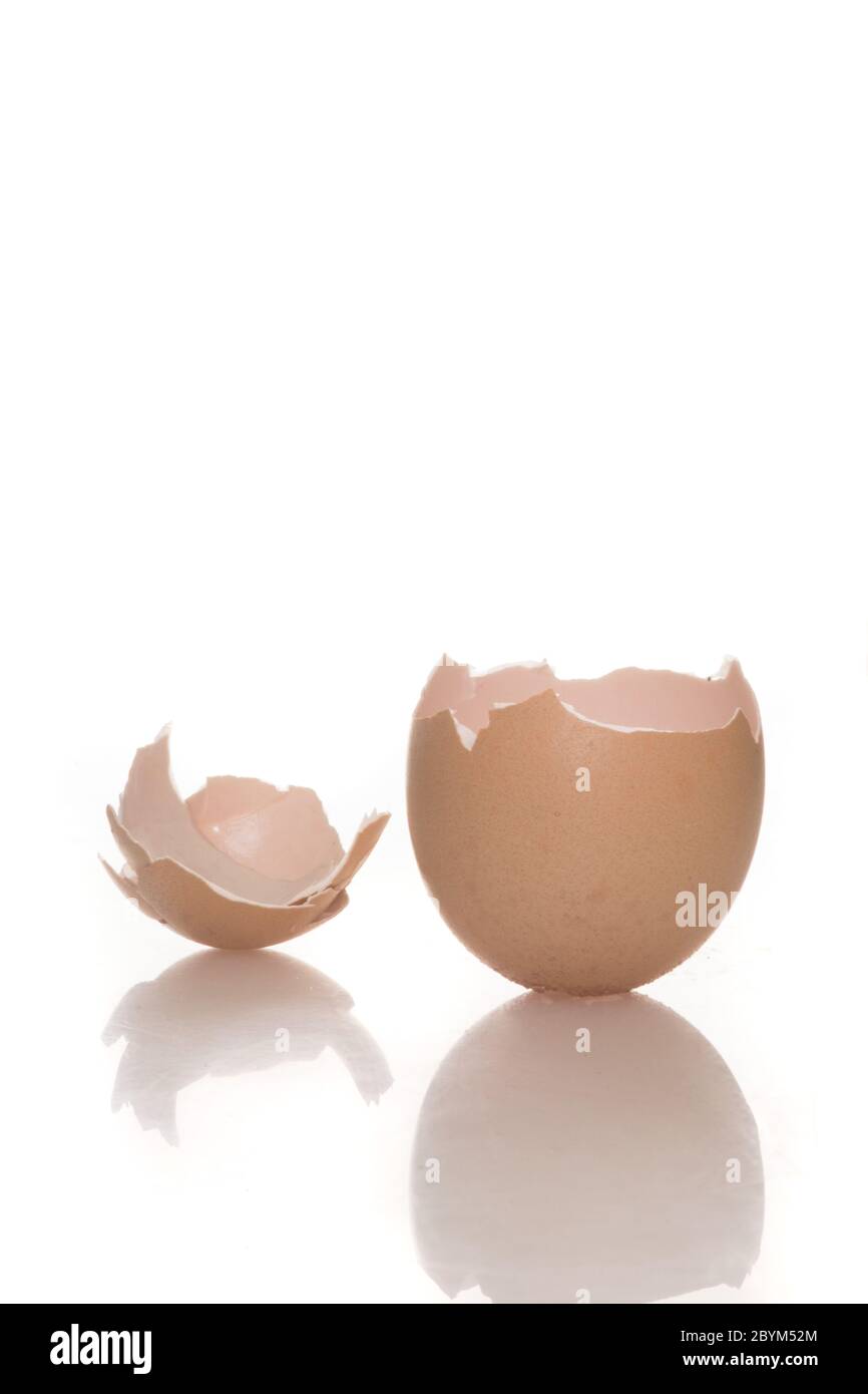 Broken empty egg shell on white Stock Photo - Alamy