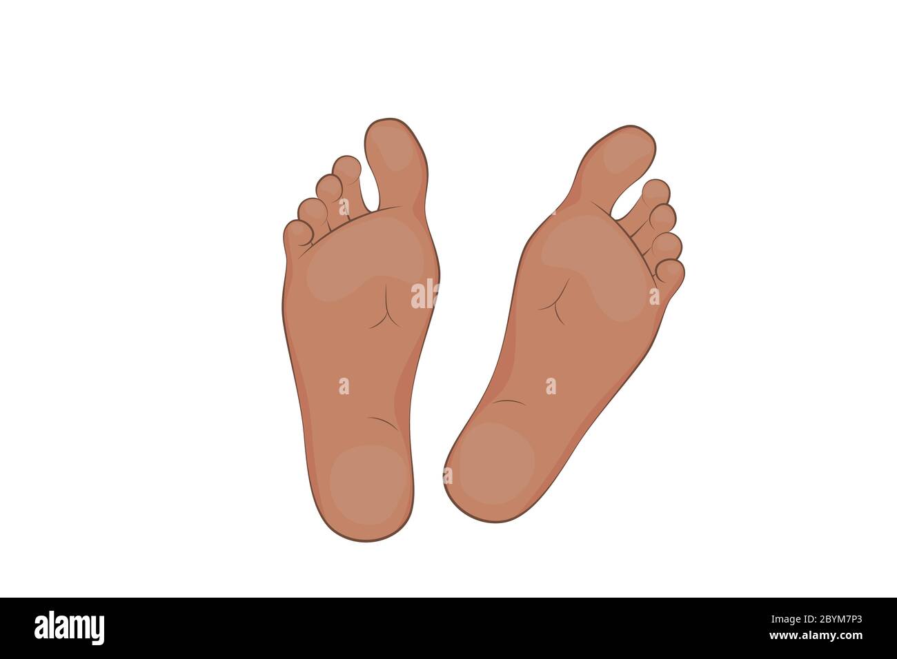 Vector illustration of a mans feet. Legs, sole, body part Stock Vector ...