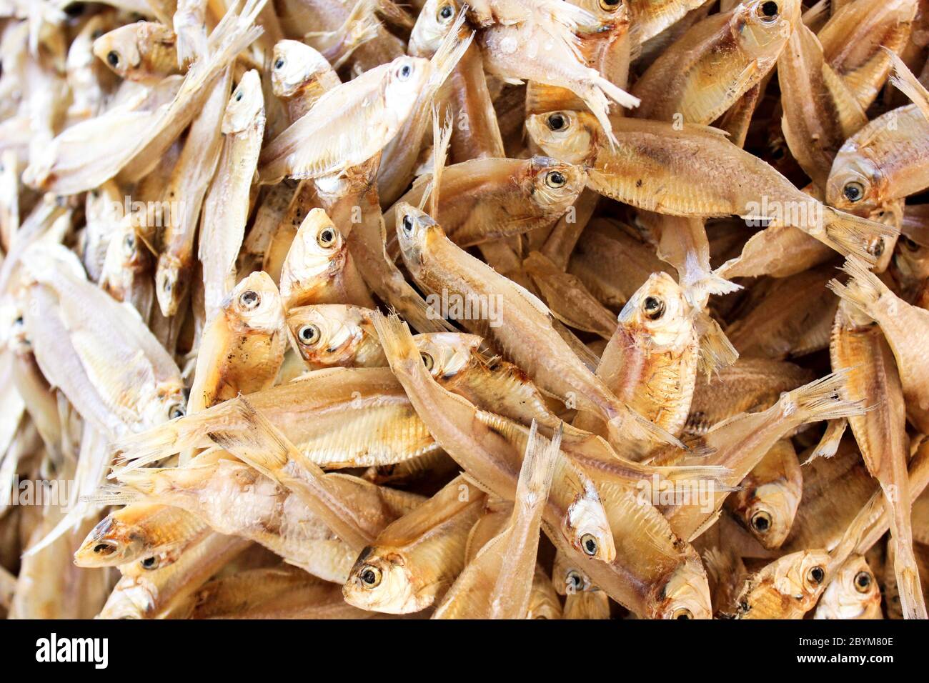dried small fish in the thai market Stock Photo - Alamy