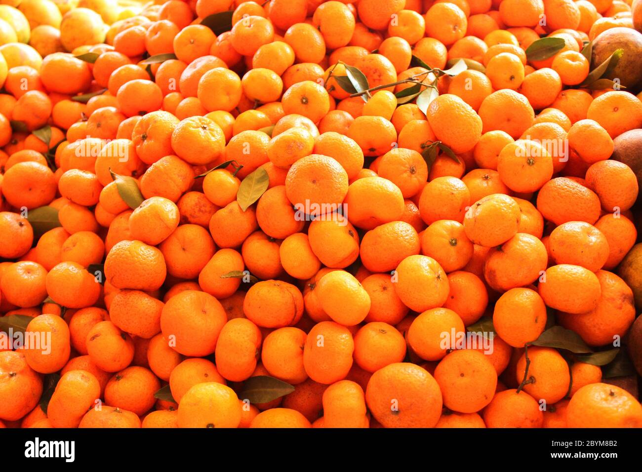 fresh orange fruit in the thai market Stock Photo - Alamy