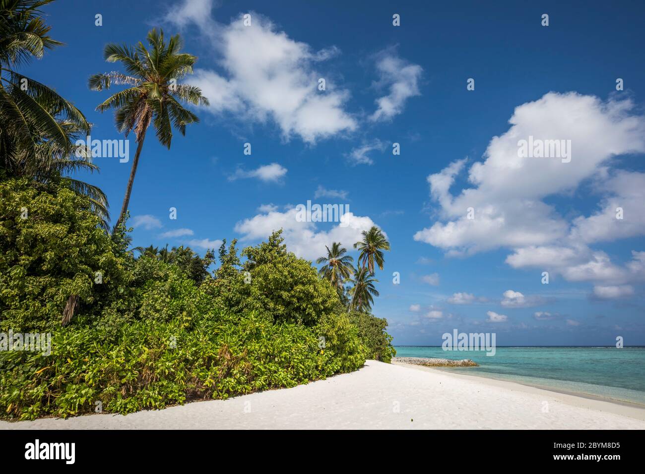 Thaa atoll hi-res stock photography and images - Alamy