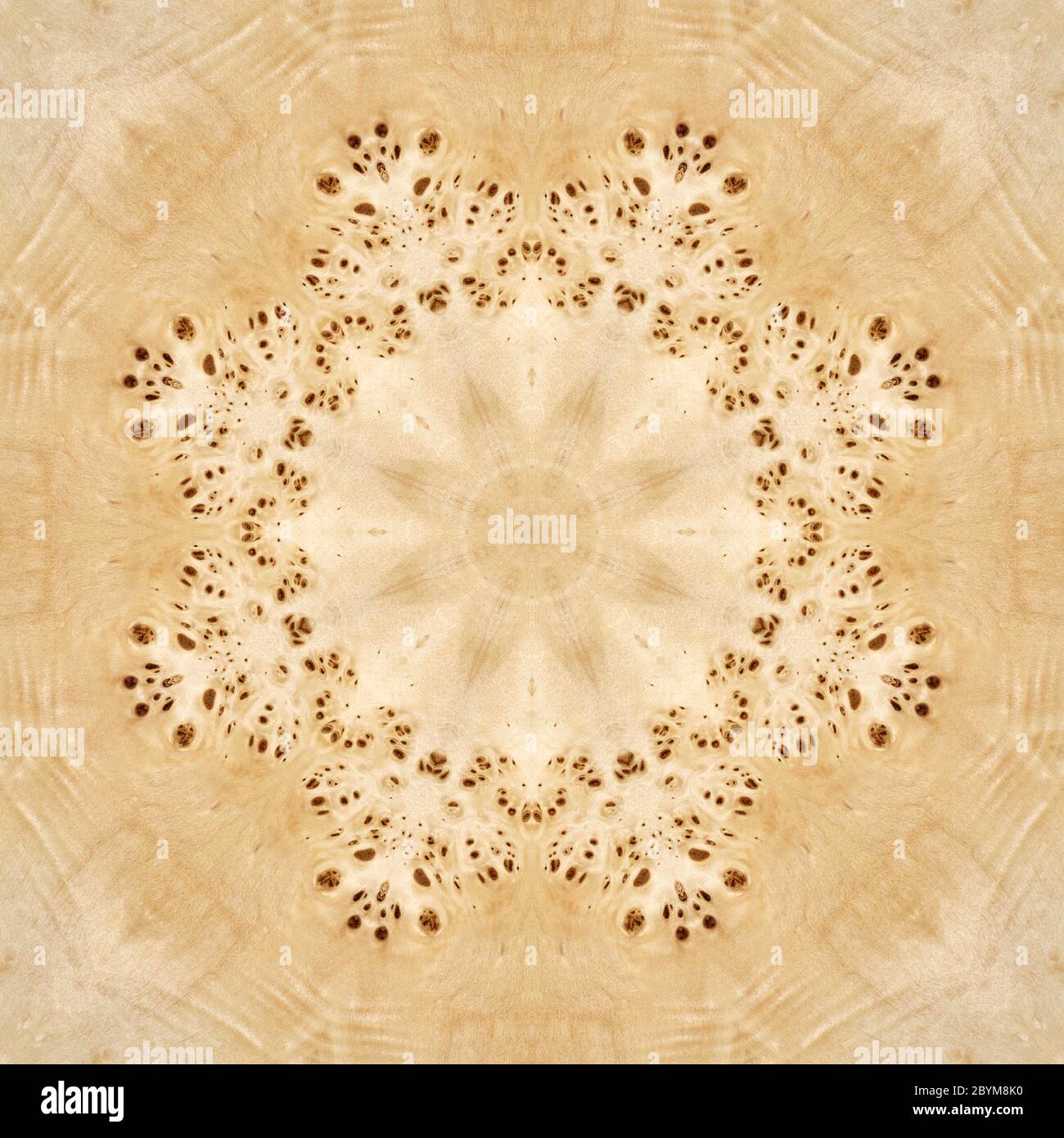 Root pattern hi-res stock photography and images - Alamy