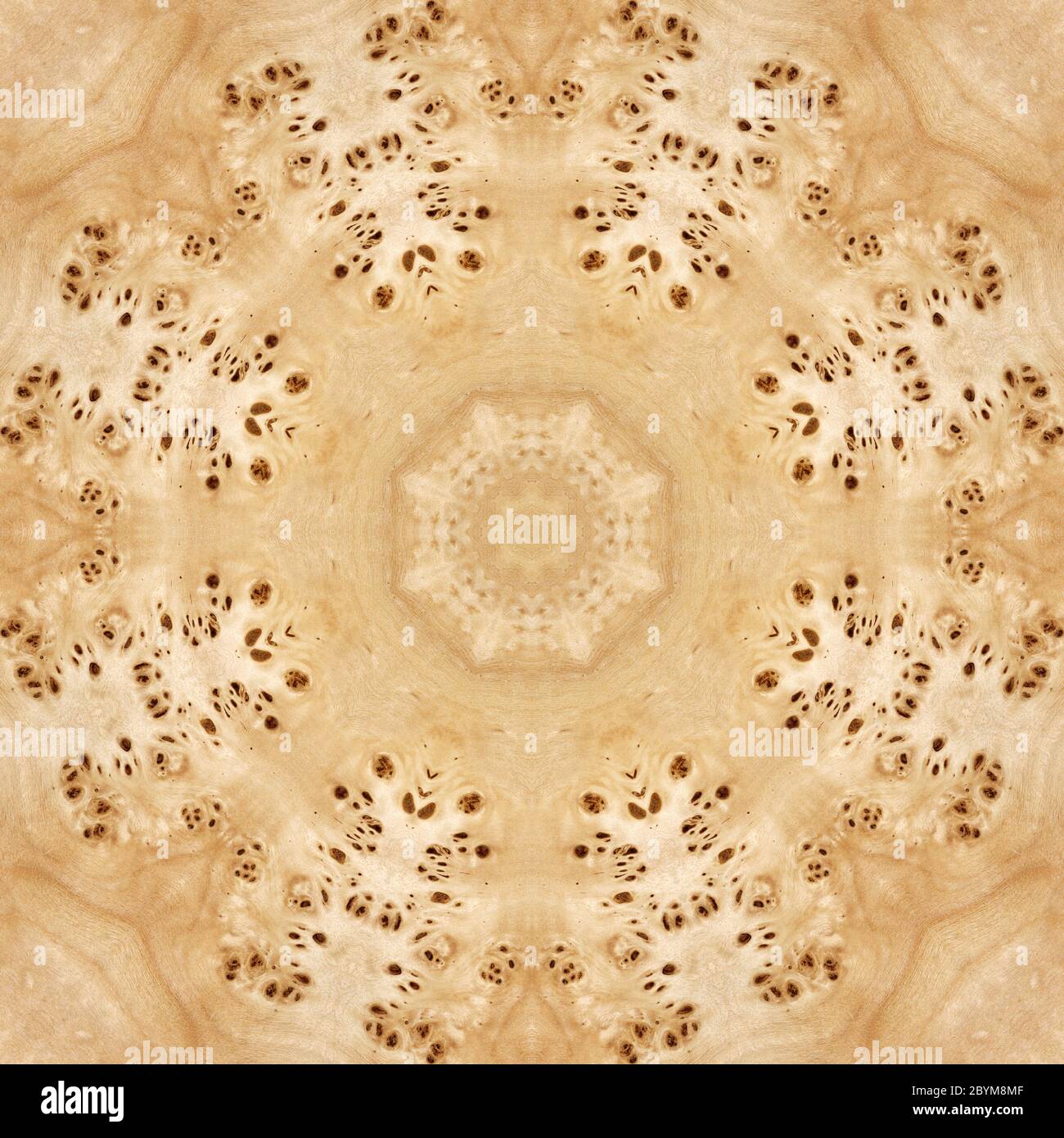 Root wood veneer hi-res stock photography and images - Alamy