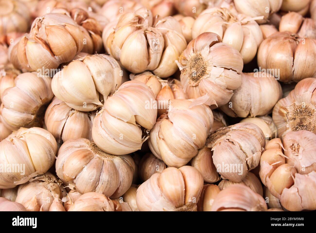 garlic for cooking texture background Stock Photo - Alamy