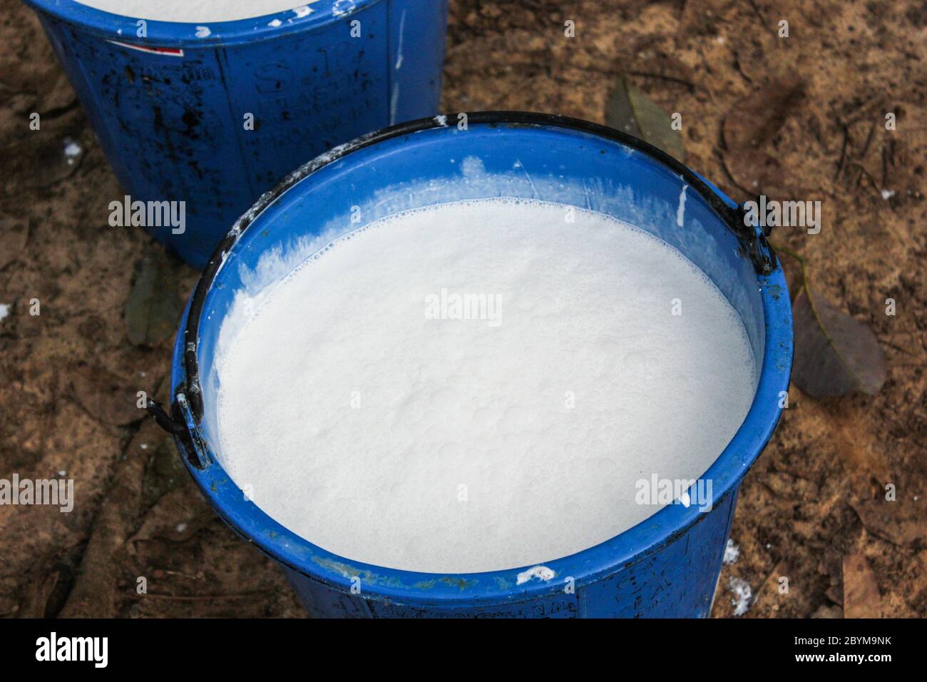 The white water rubber milk agriculture is on the tank Stock Photo - Alamy