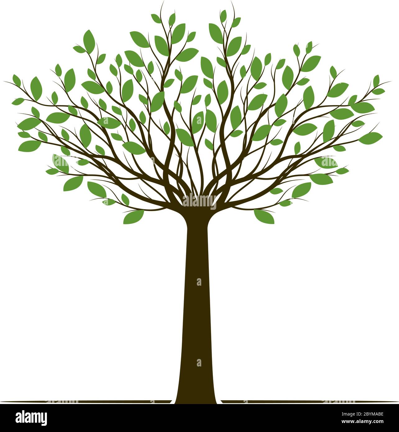 Green Spring and decoration Tree. Vector outline Illustration. Plant in ...