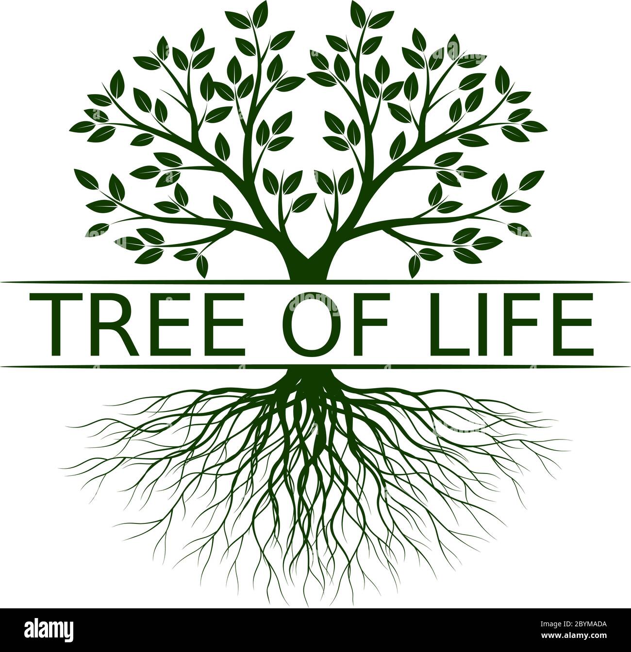 Tree of life line drawing hi-res stock photography and images - Alamy