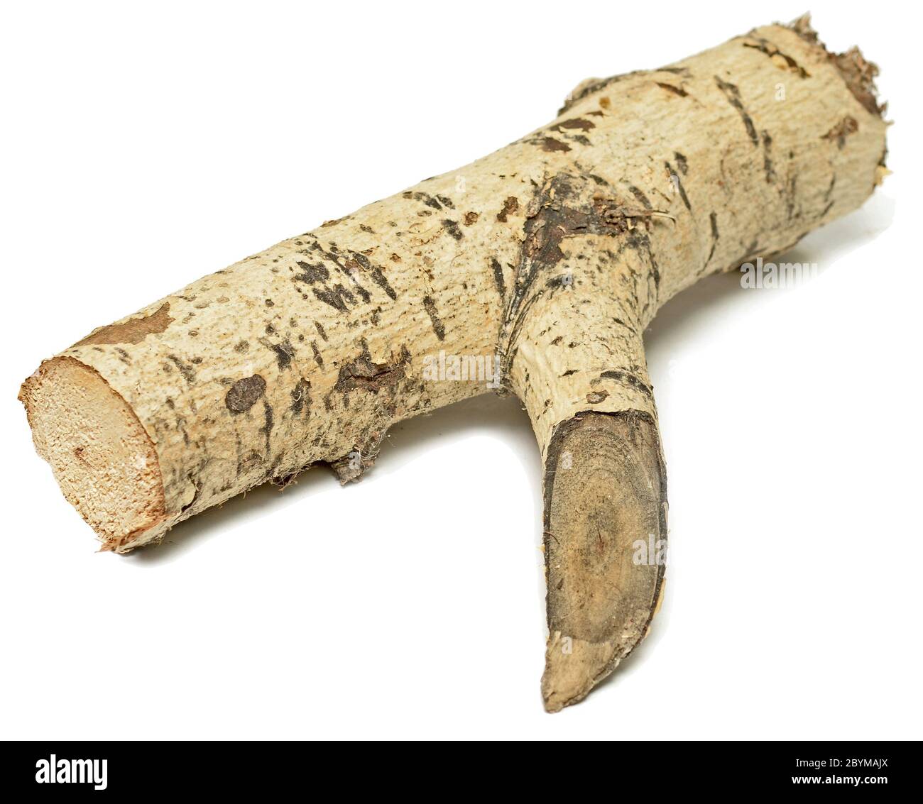 Broken log Cut Out Stock Images & Pictures - Alamy
