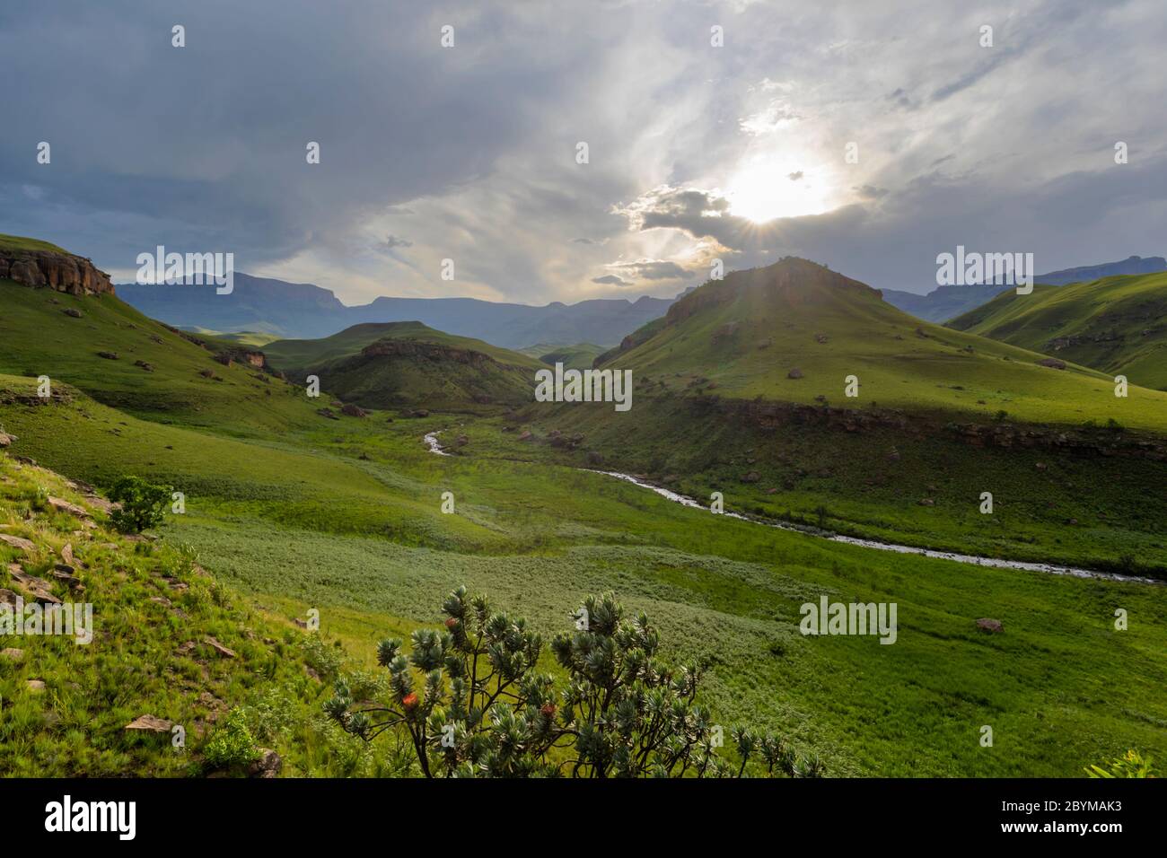 Boesmans river hi-res stock photography and images - Alamy