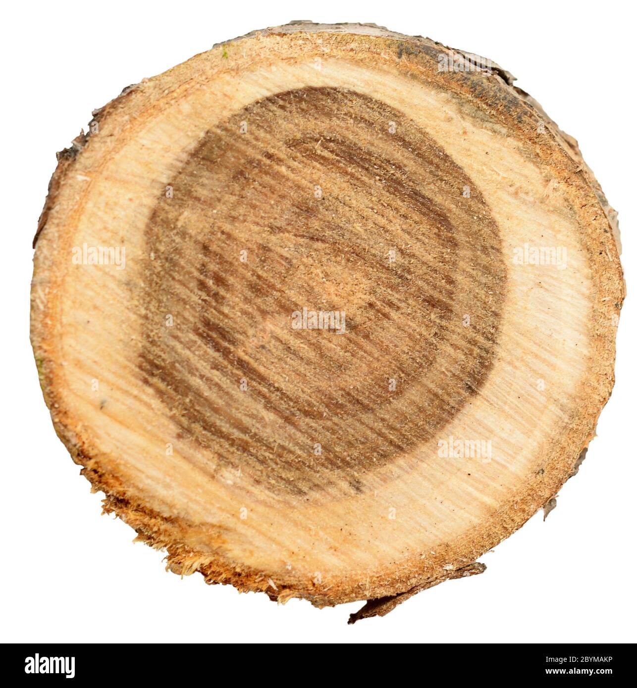 Log Core Cut Out Stock Images & Pictures - Alamy