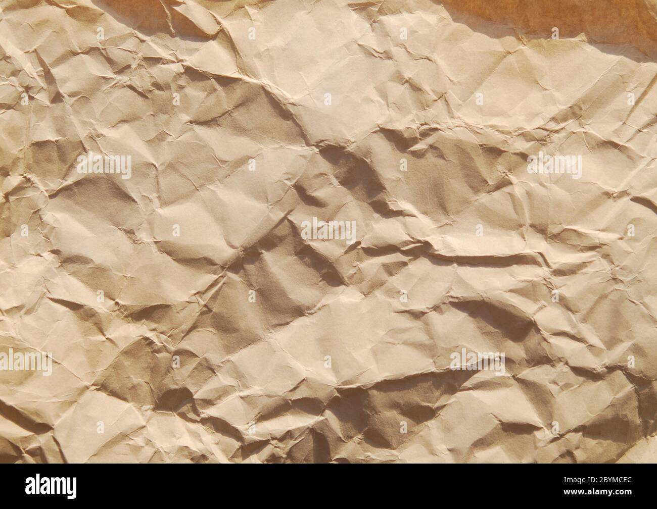 Pulp and paper shipping hi-res stock photography and images - Alamy