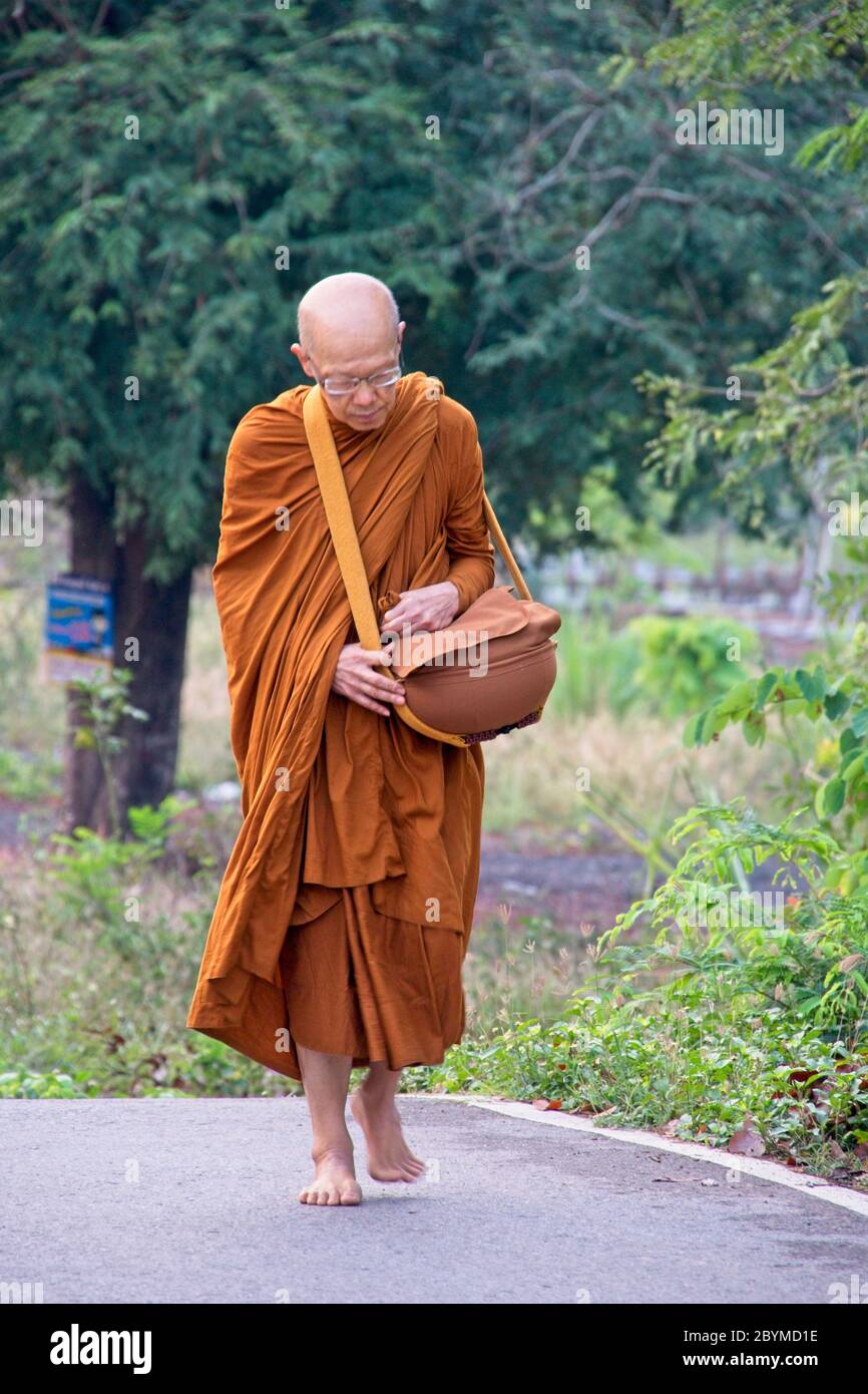 Buddhist Monks Walking