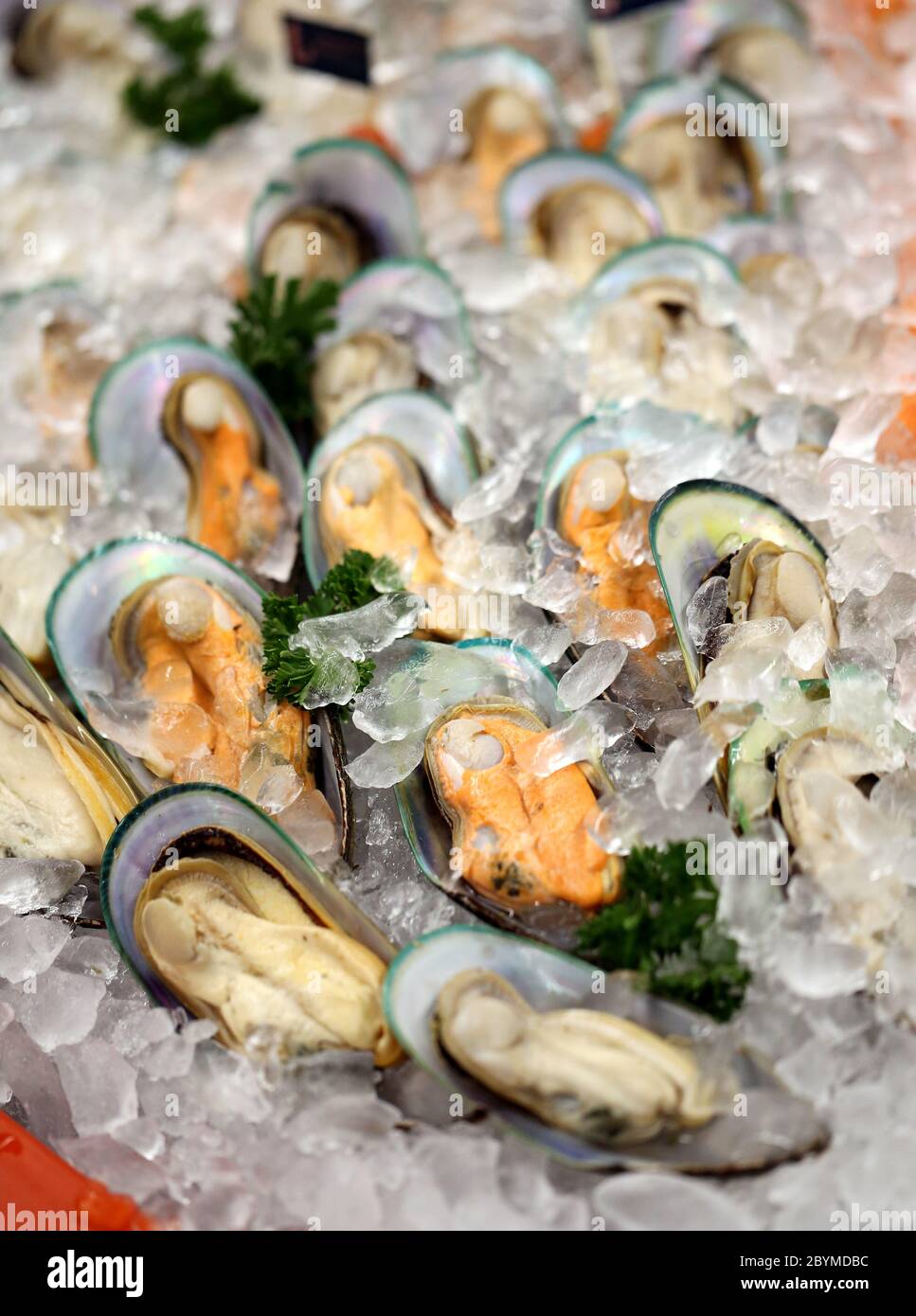 Mussels in shells Stock Photo - Alamy