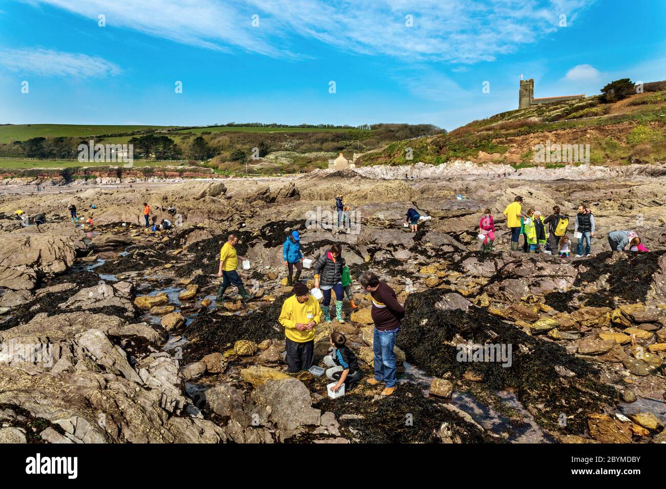 Rock Pooling Activity; Wembury; Devon; UK Stock Photo - Alamy
