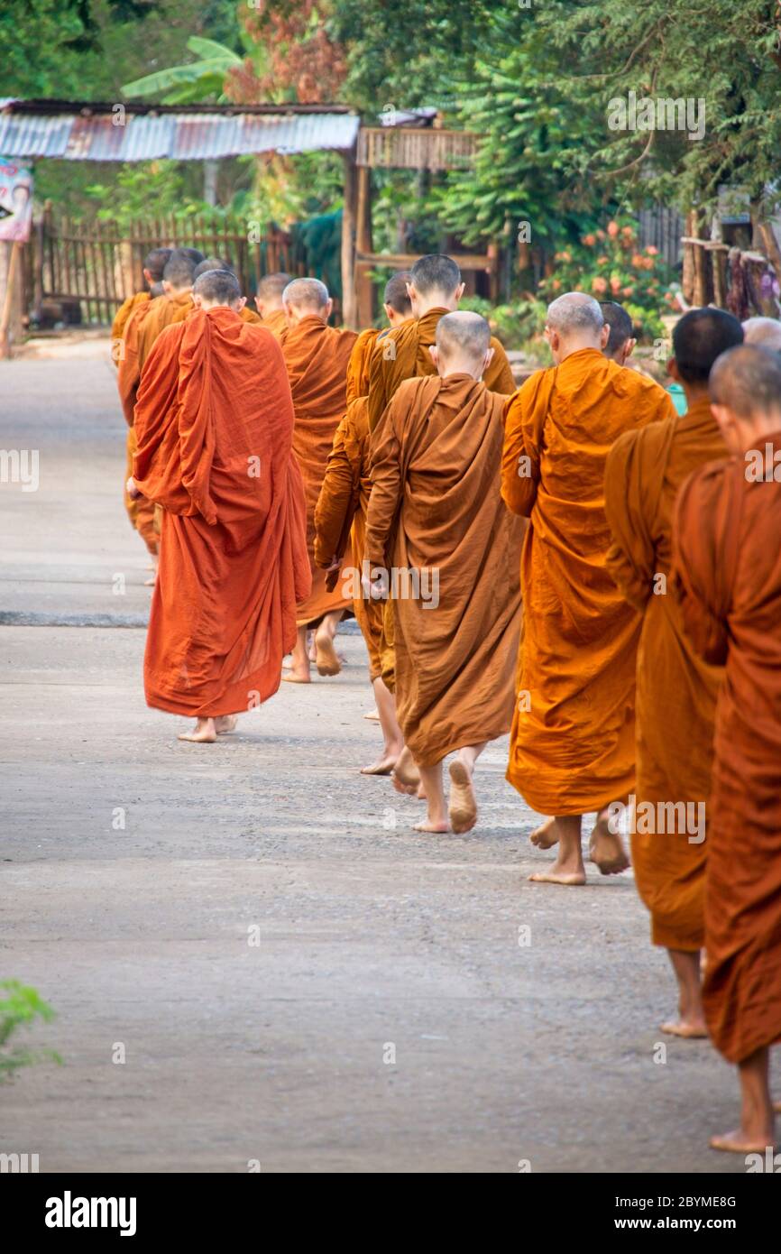Buddhist Monks Walking