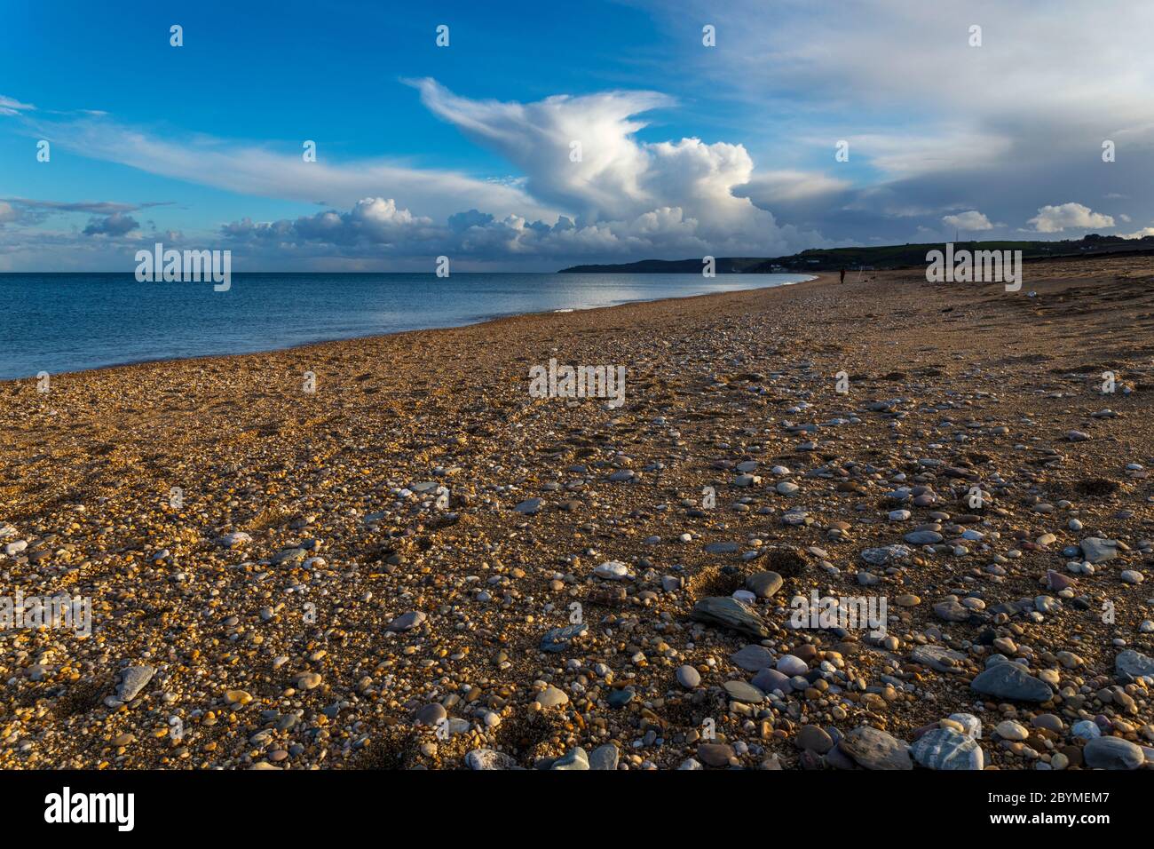 Slapton Beach; Devon; UK Stock Photo - Alamy
