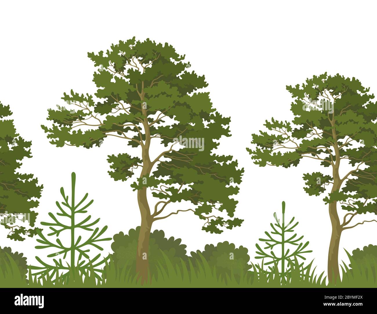 Seamless background, summer forest Stock Photo - Alamy