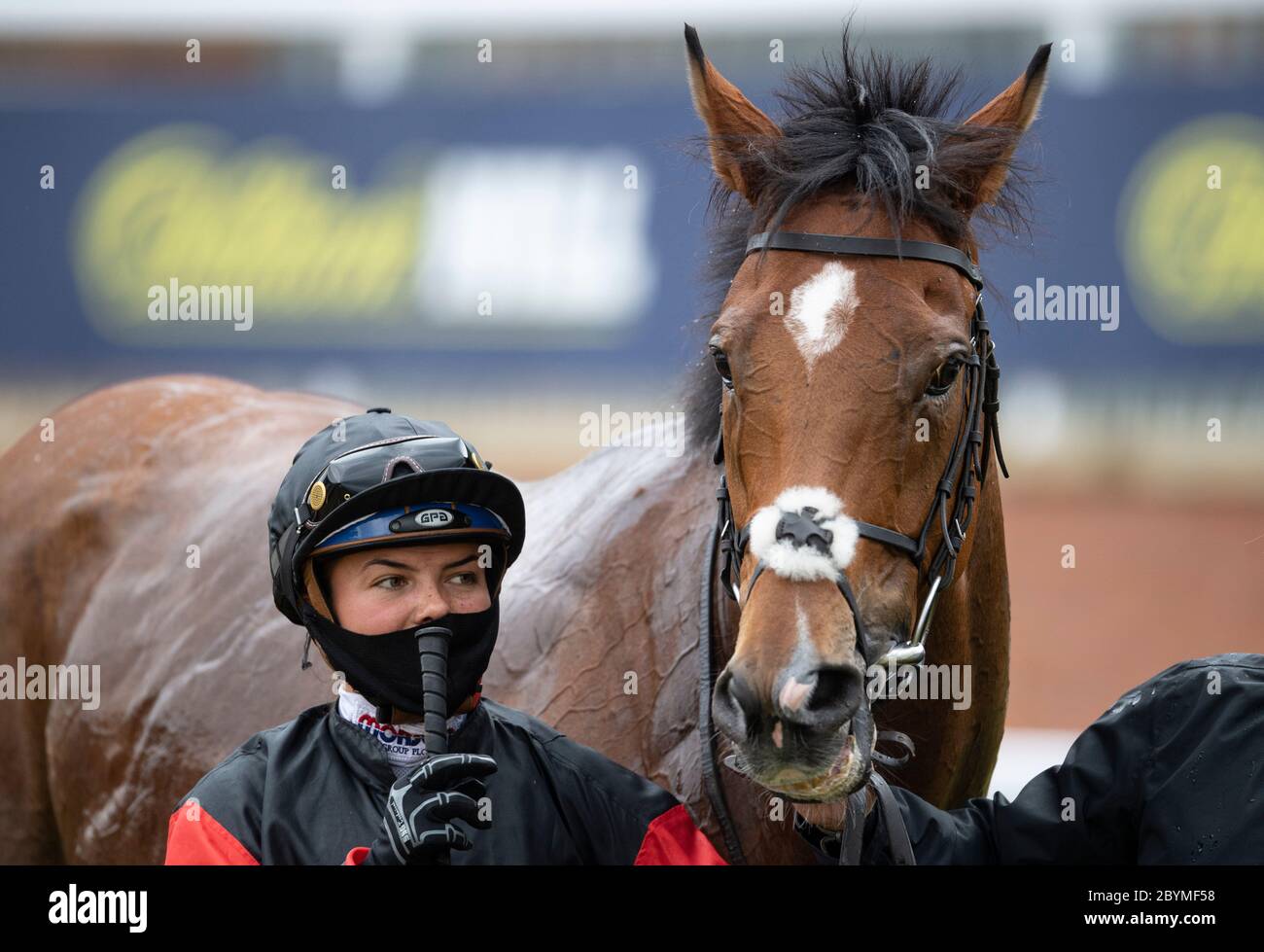 Christopher wood horse hi-res stock photography and images - Alamy