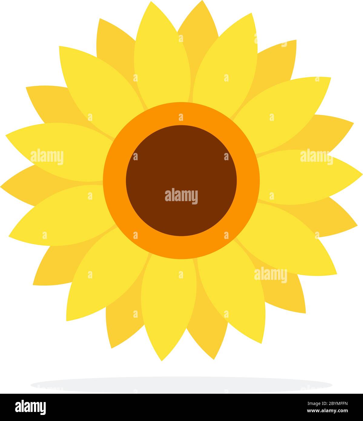 Flower of sunflower vector flat isolated Stock Vector Image & Art - Alamy